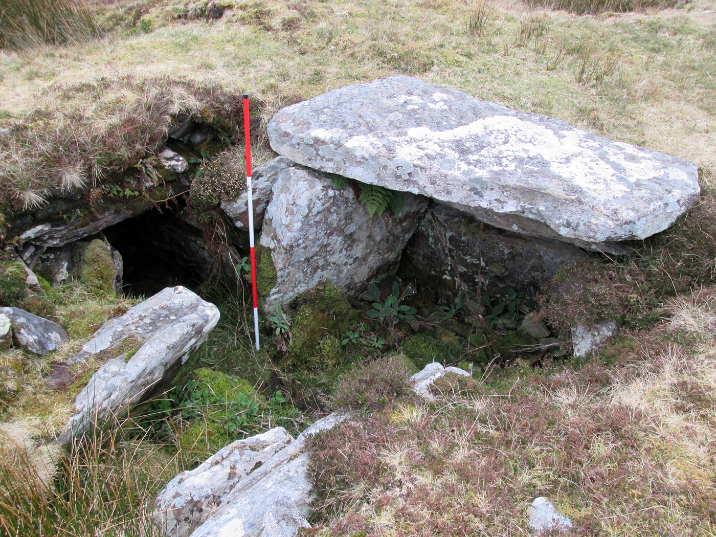 Neolithic ‘Celtic’ Fields? A Reinterpretation of the Chronological ...