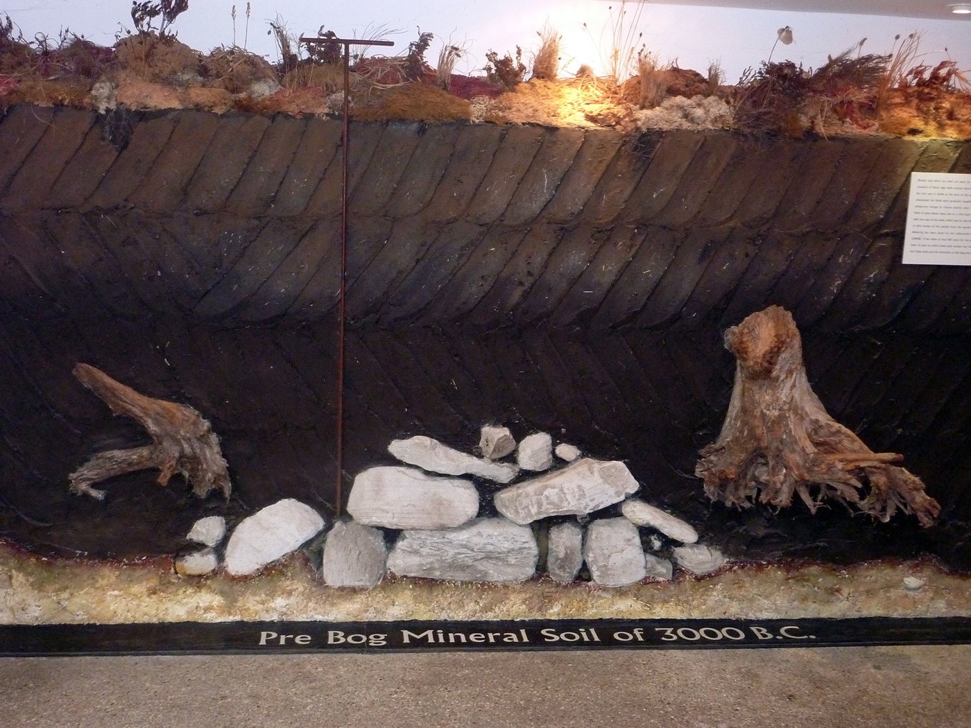 Neolithic ‘Celtic’ Fields? A Reinterpretation of the Chronological ...