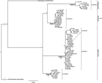 High levels of genetic structuring in the Antarctic springtail ...