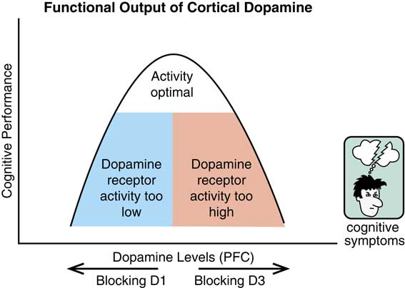 Dazzled by the dominions of dopamine: clinical roles of D3, D2, and D1 ...