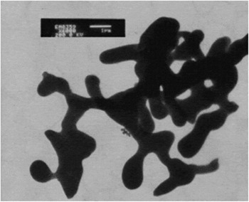 Preparation of vanadium powder and vanadium–titanium alloys by the ...