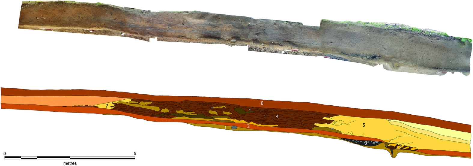 Borgring: the discovery of a Viking Age ring fortress | Antiquity ...