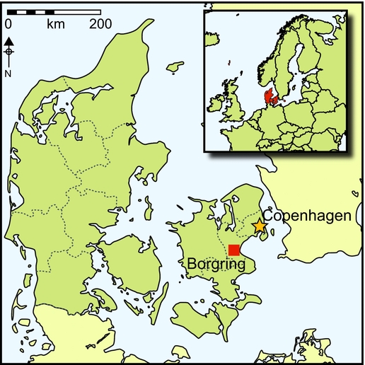Borgring: the discovery of a Viking Age ring fortress | Antiquity ...