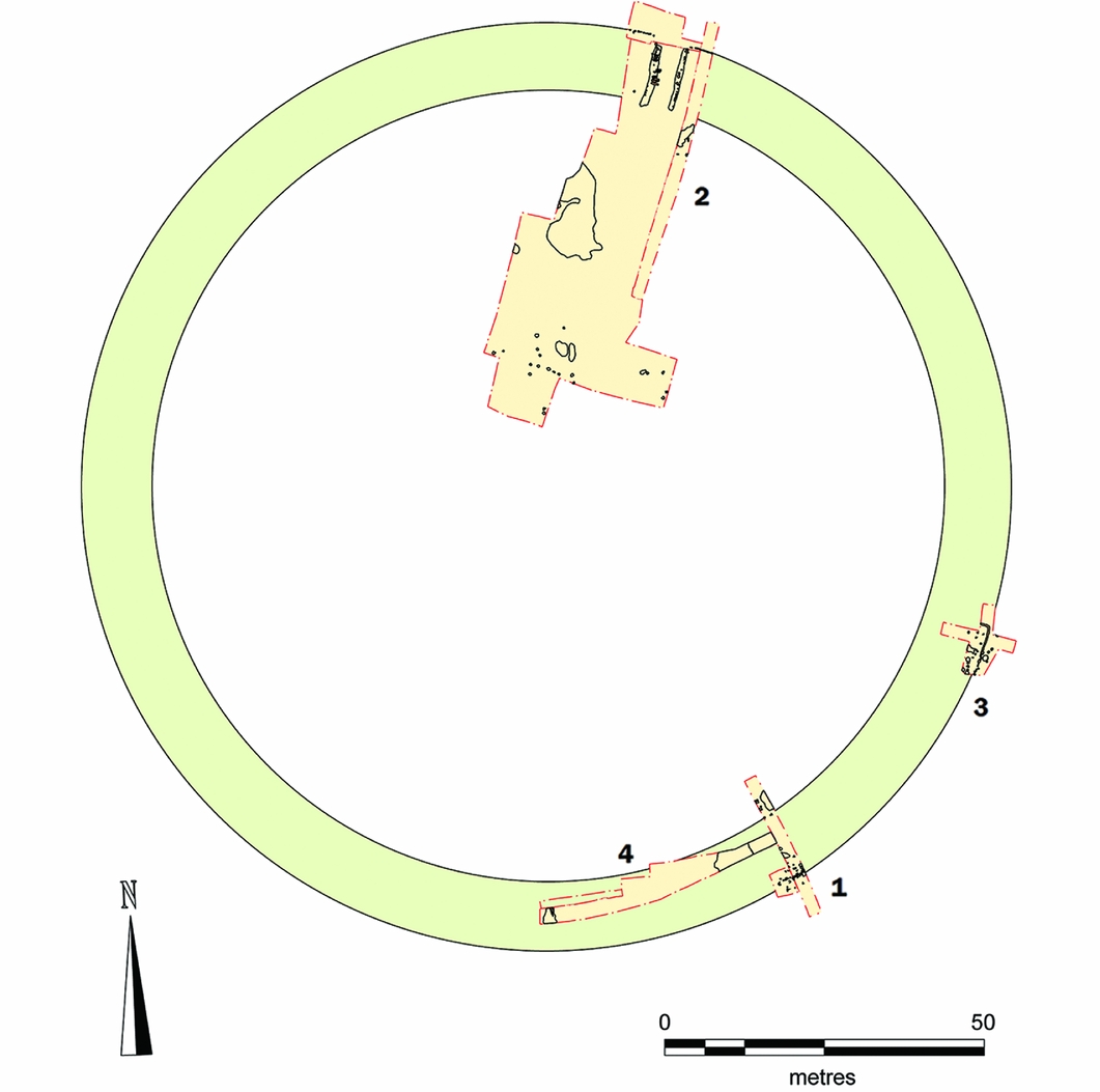 Borgring: the discovery of a Viking Age ring fortress | Antiquity ...