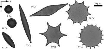 Magnetic micro-droplet in rotating field: numerical simulation and ...