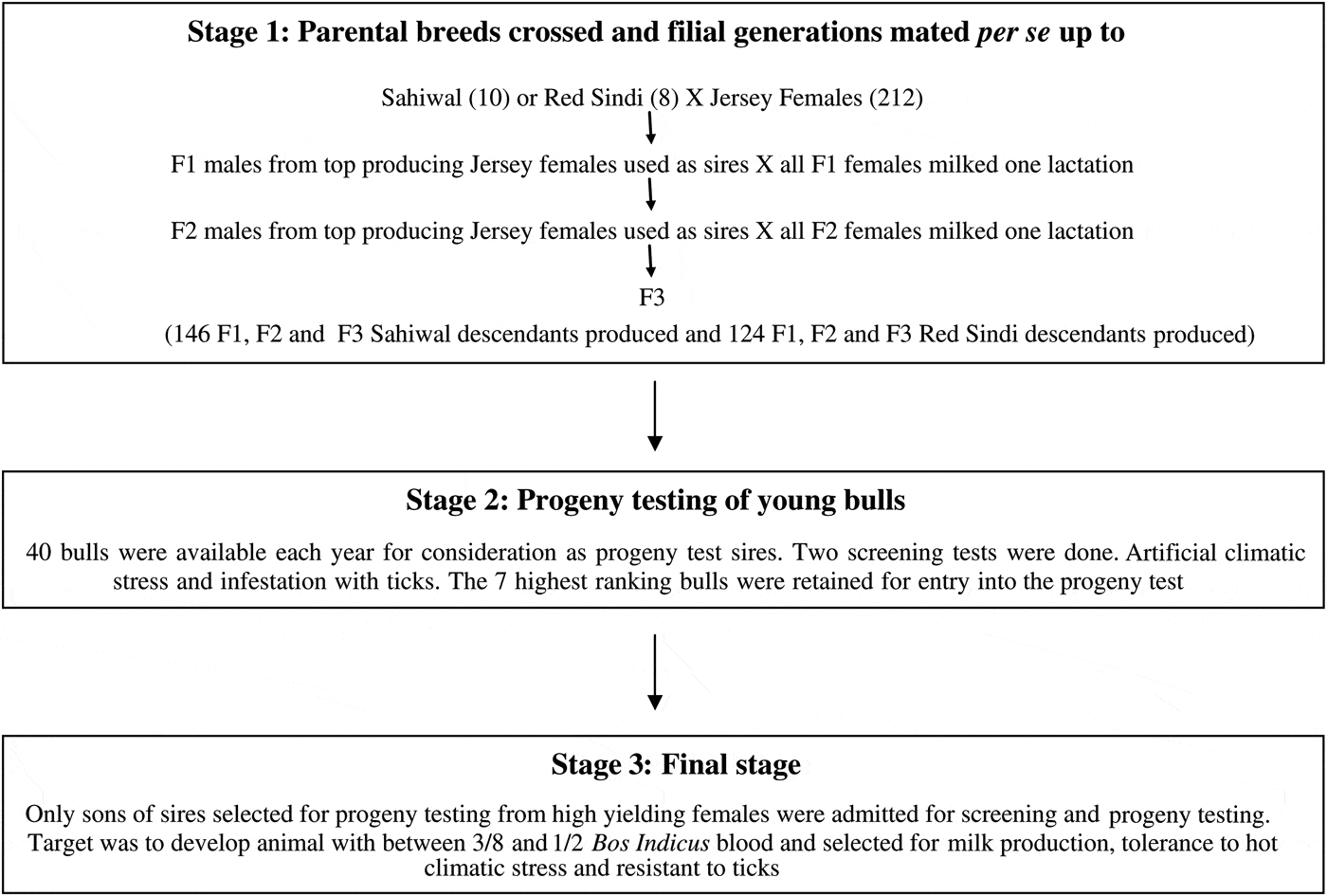 Cross-breeding cattle for milk production in the tropics: achievements ...
