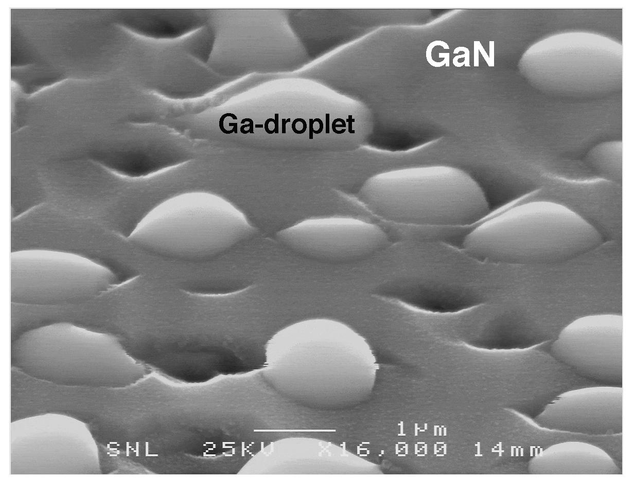 Surface Morphology of MBE-grown GaN on GaAs(001) as Function of the N ...