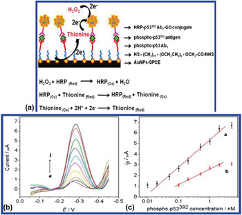 Graphene based biosensors for healthcare | Journal of Materials ...
