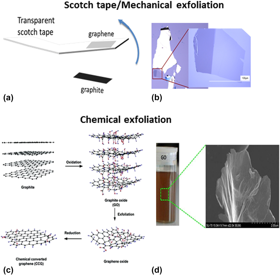 Graphene based biosensors for healthcare | Journal of Materials ...