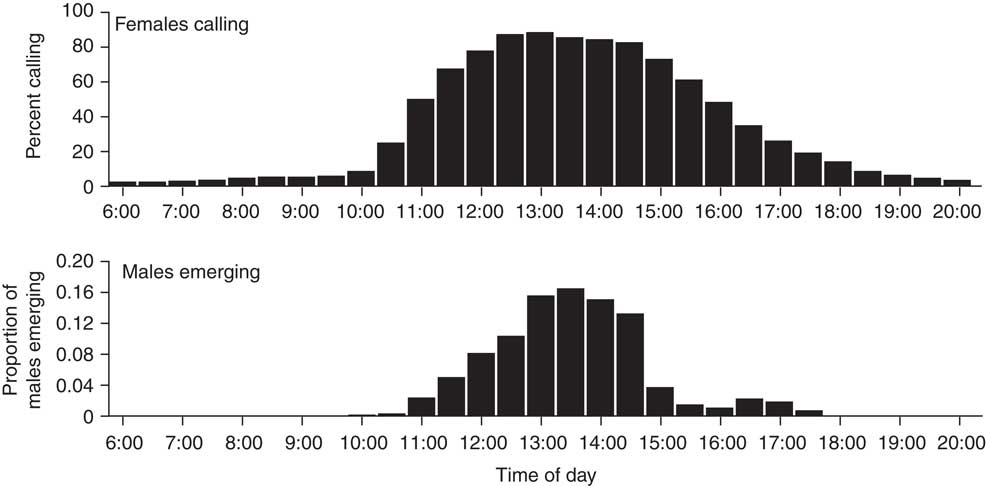 New findings on life history traits of Xenos peckii (Strepsiptera ...