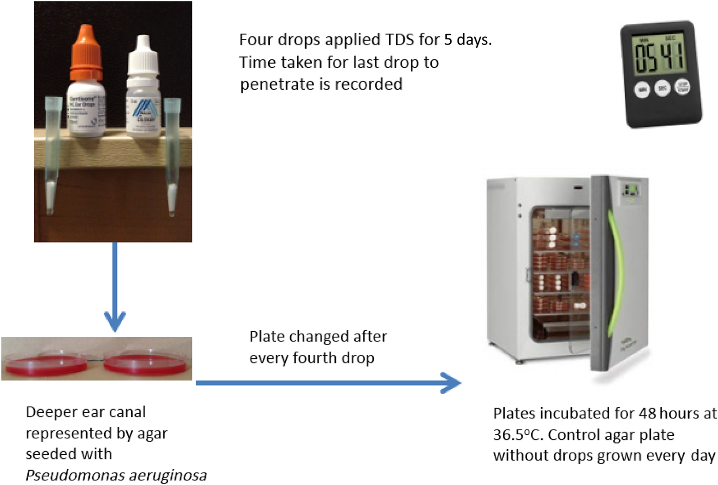 Optimising the use of otowicks in otitis externa | The Journal of ...