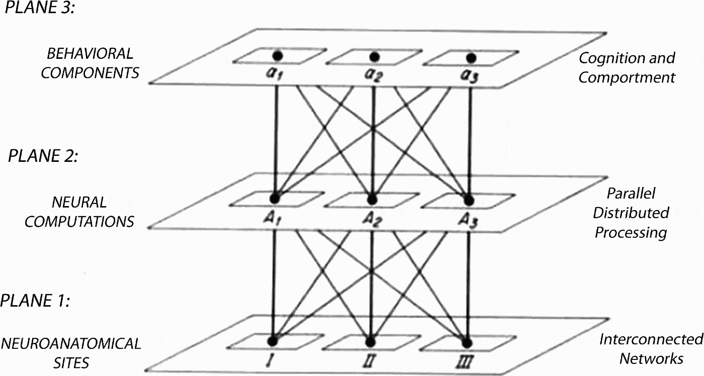 Neural reuse: A fundamental organizational principle of the brain ...
