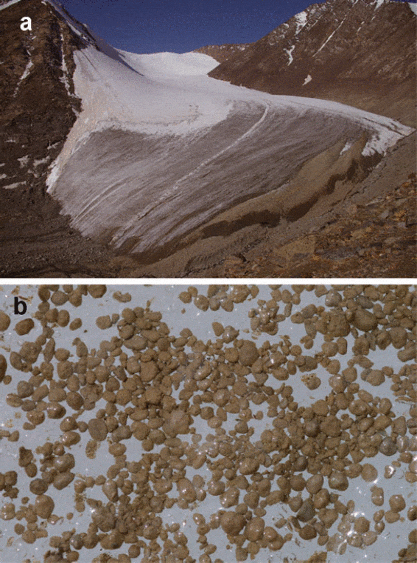 Structure and formation process of cryoconite granules on Ürümqi ...