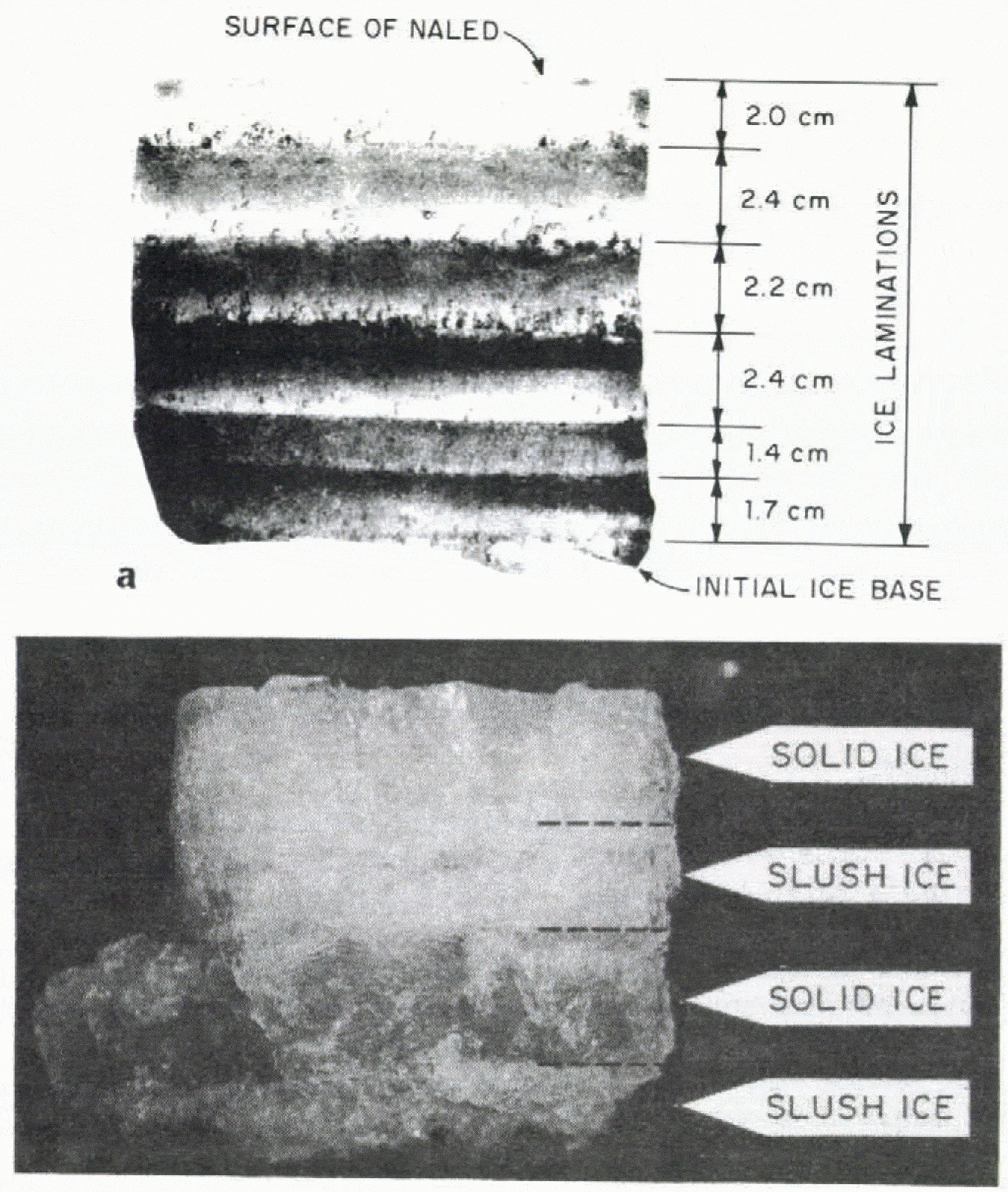 Theory and Laboratory Observations of Naled Ice Growth | Journal of ...