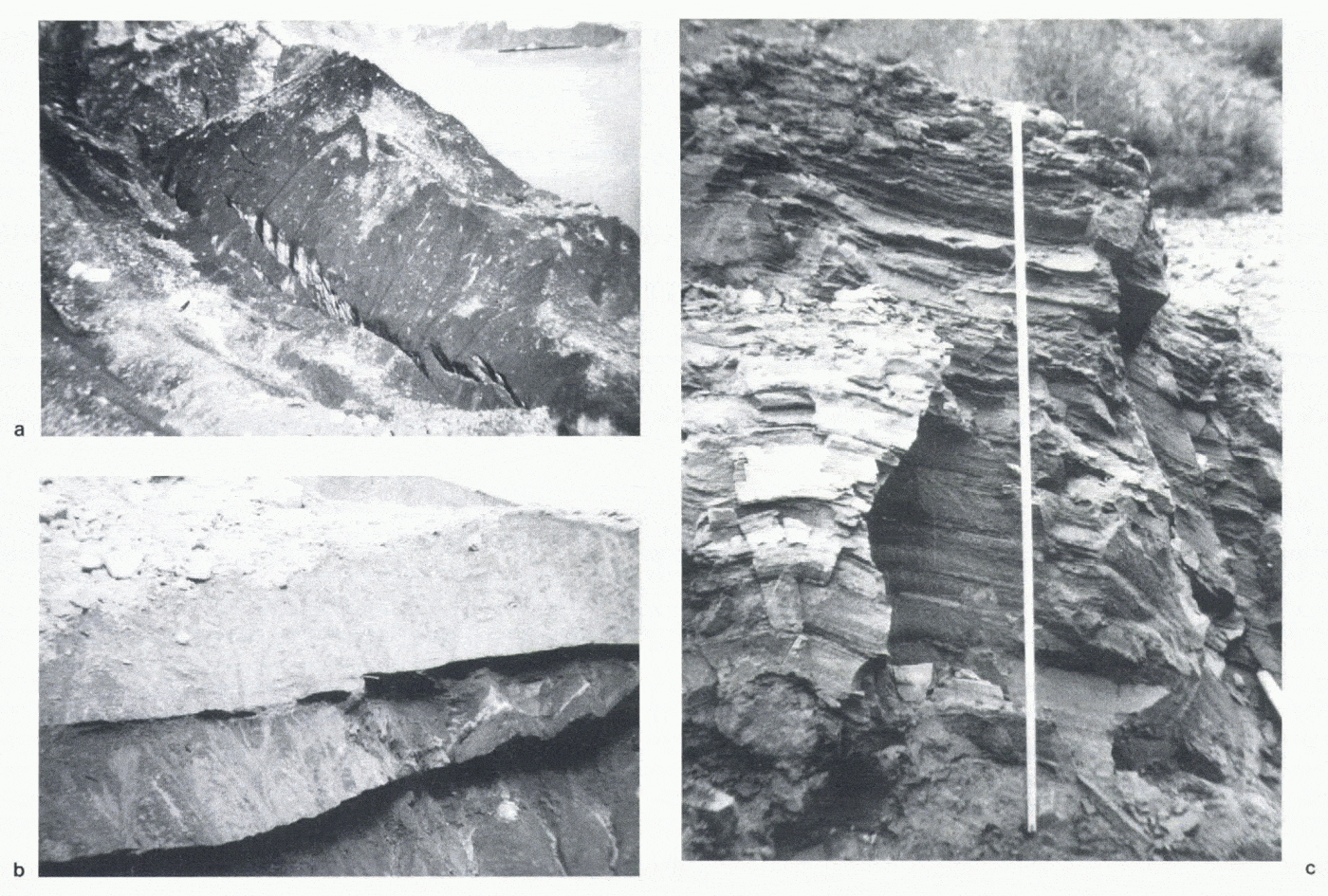 Identification of glaciers with surge characteristics on the Tibetan ...