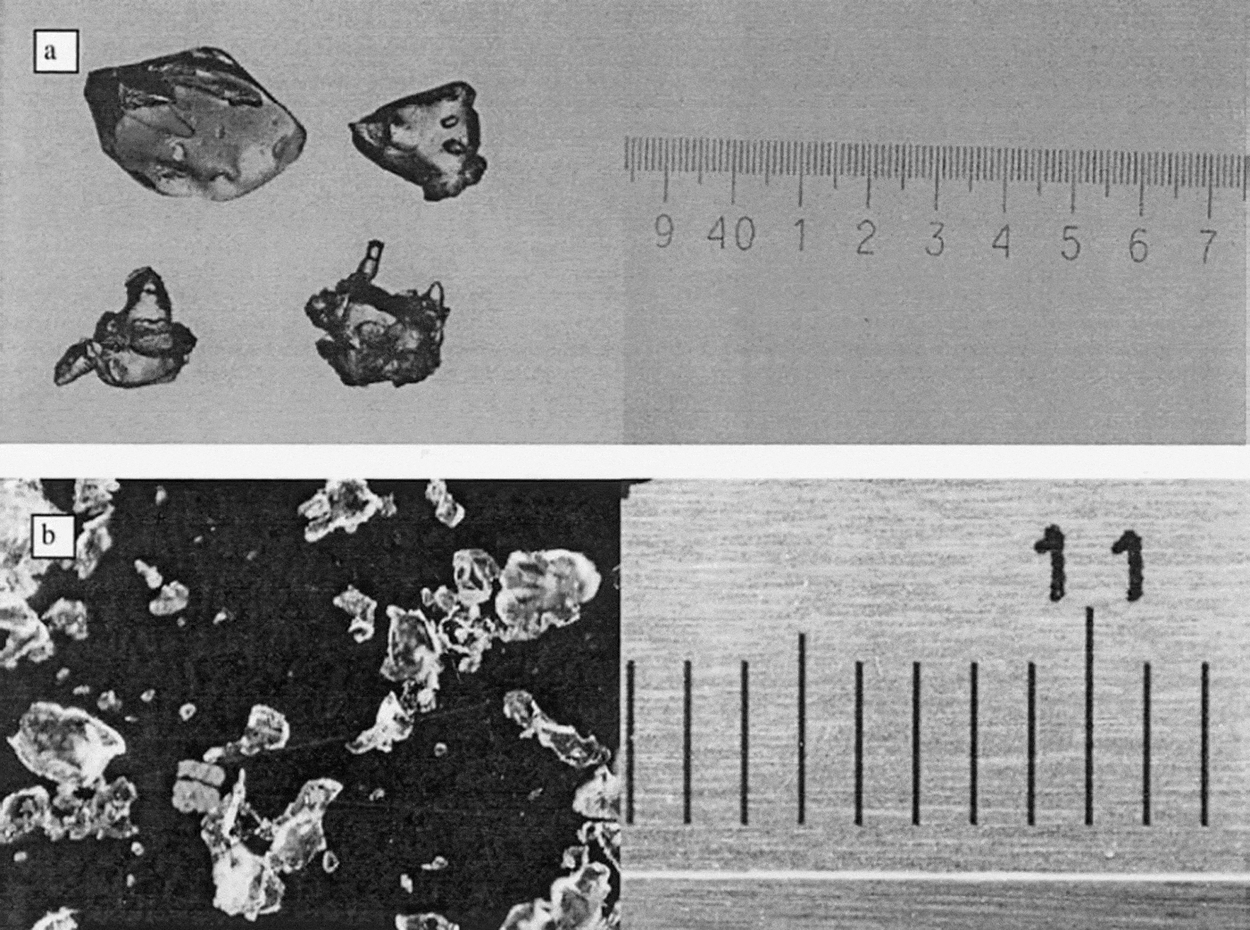 Snow grain-size measurements in Antarctica | Journal of Glaciology ...