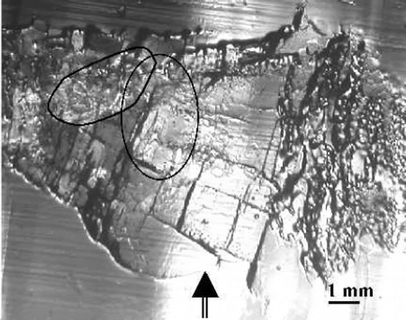 On friction and surface cracking during sliding of ice on ice | Journal ...