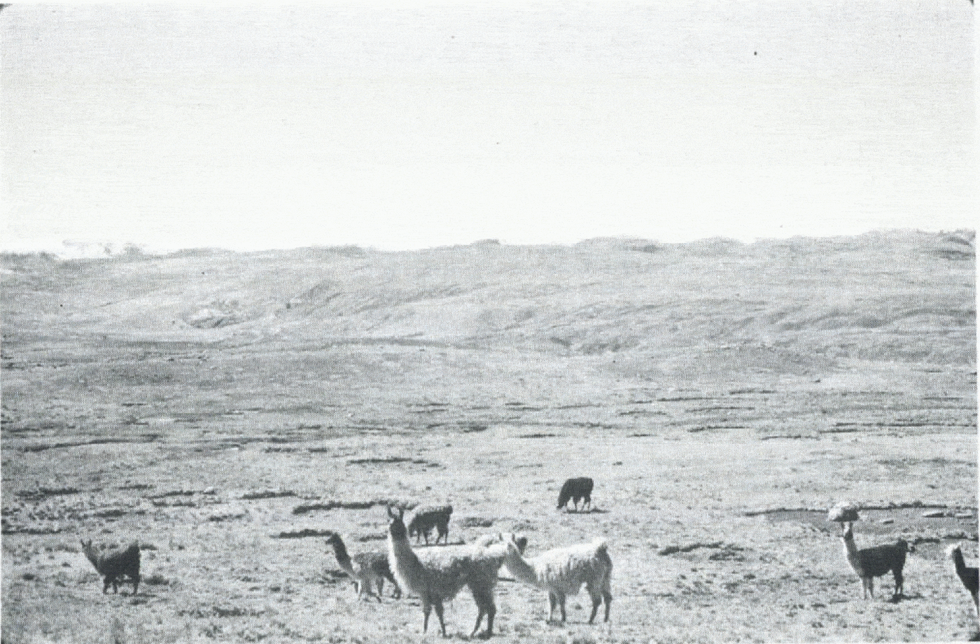 Glaciological Investigations of the Tropical Quelccaya Ice Cap, Peru ...