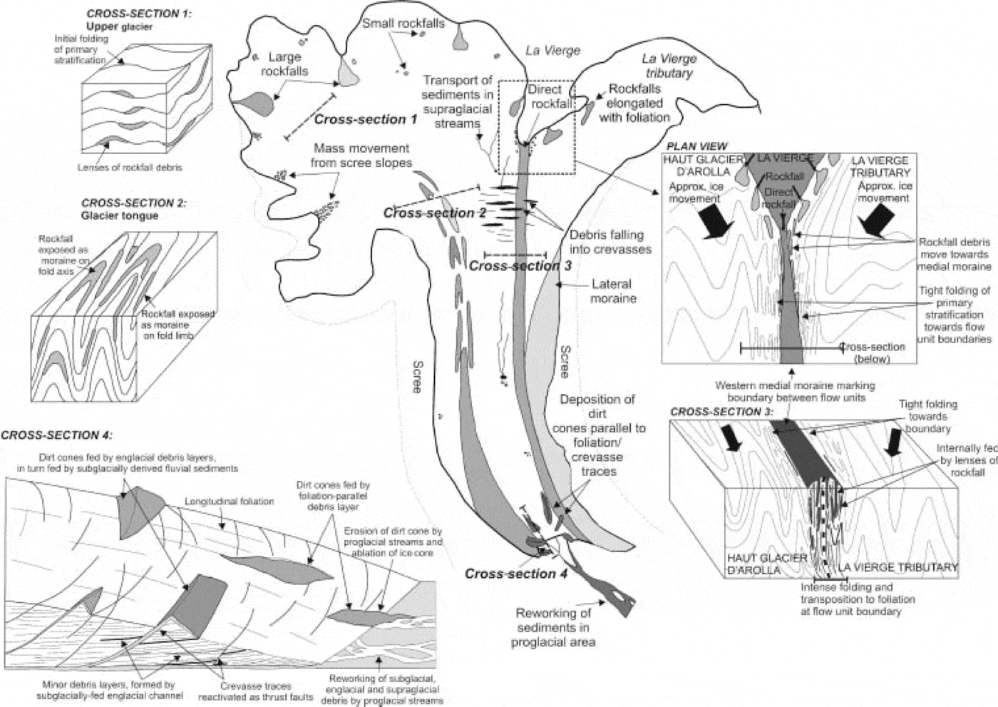 Debris transport in a temperate valley glacier: Haut Glacier d’Arolla ...