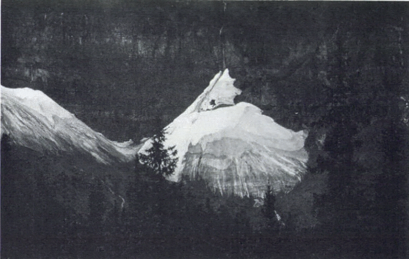 Characteristics of the Bergschrund of an Avalanche-Cone Glacier in the ...