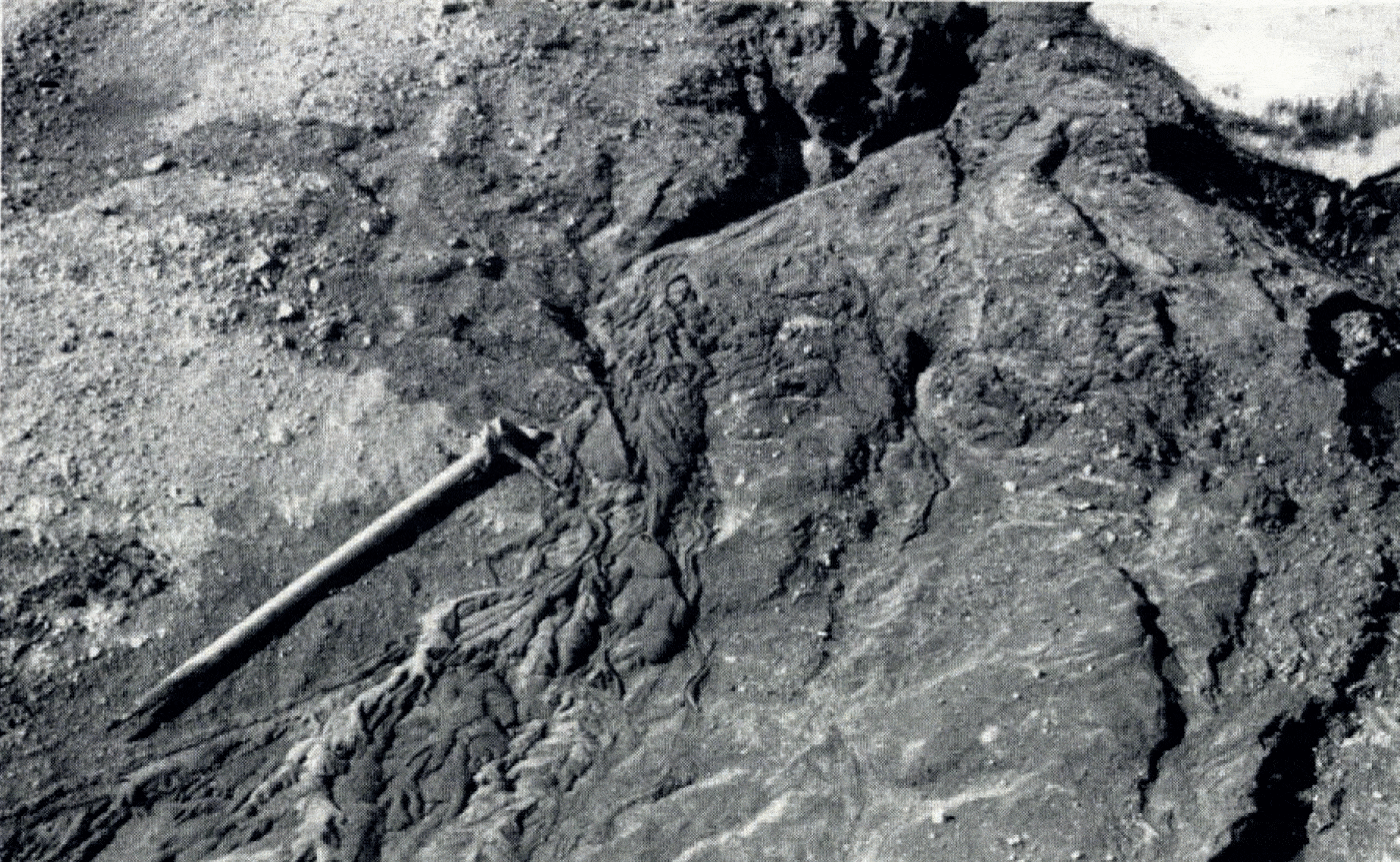 Miniature Nivation Cirques Near Marble Point, McMurdo Sound, Antarctica ...