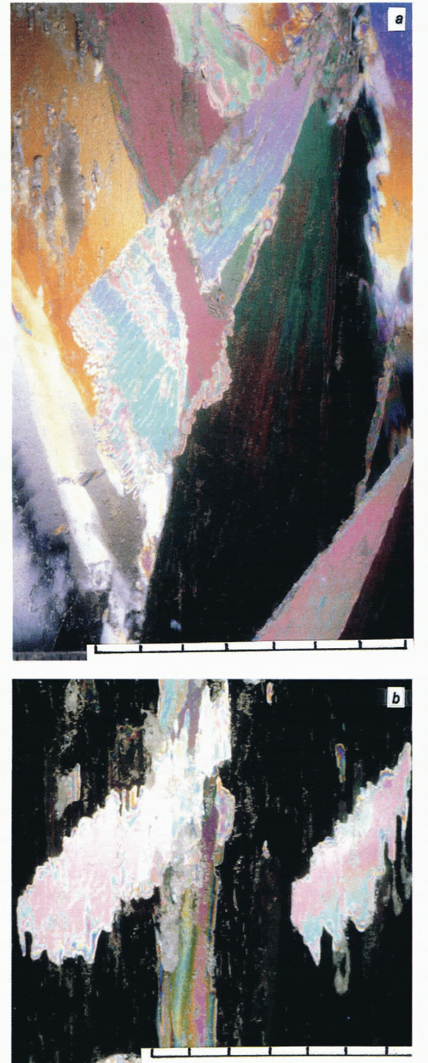 Structural characteristics of congelation and platelet ice and their ...