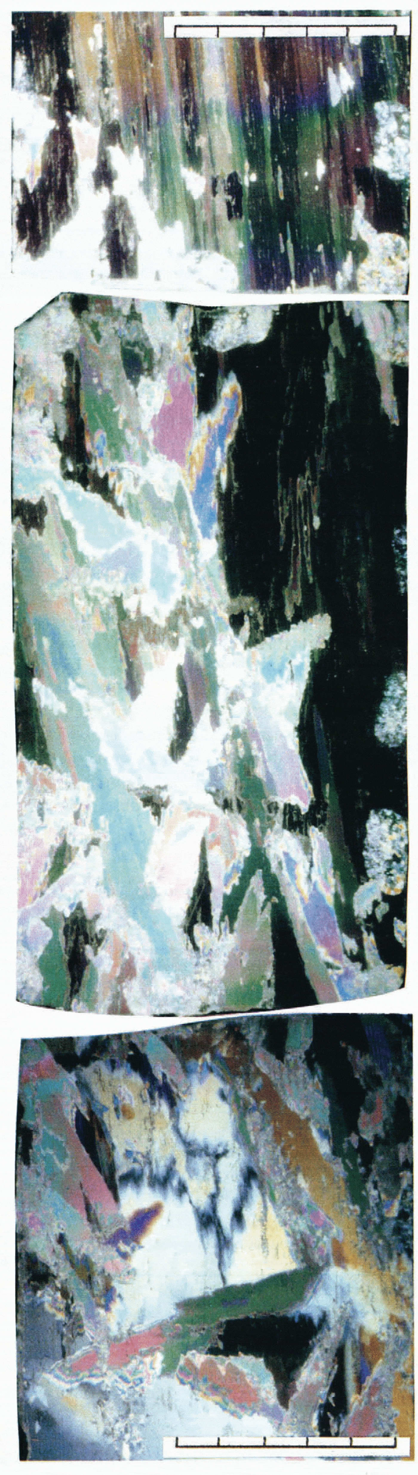 Structural characteristics of congelation and platelet ice and their ...