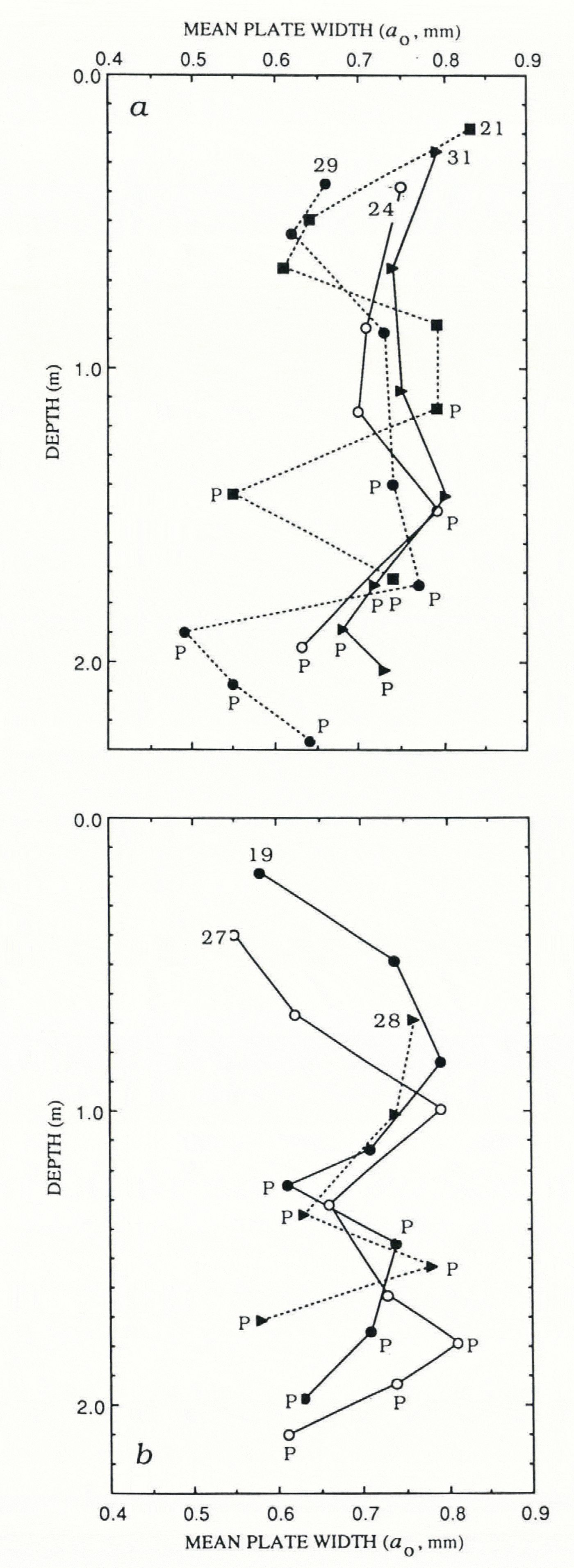 Structural characteristics of congelation and platelet ice and their ...