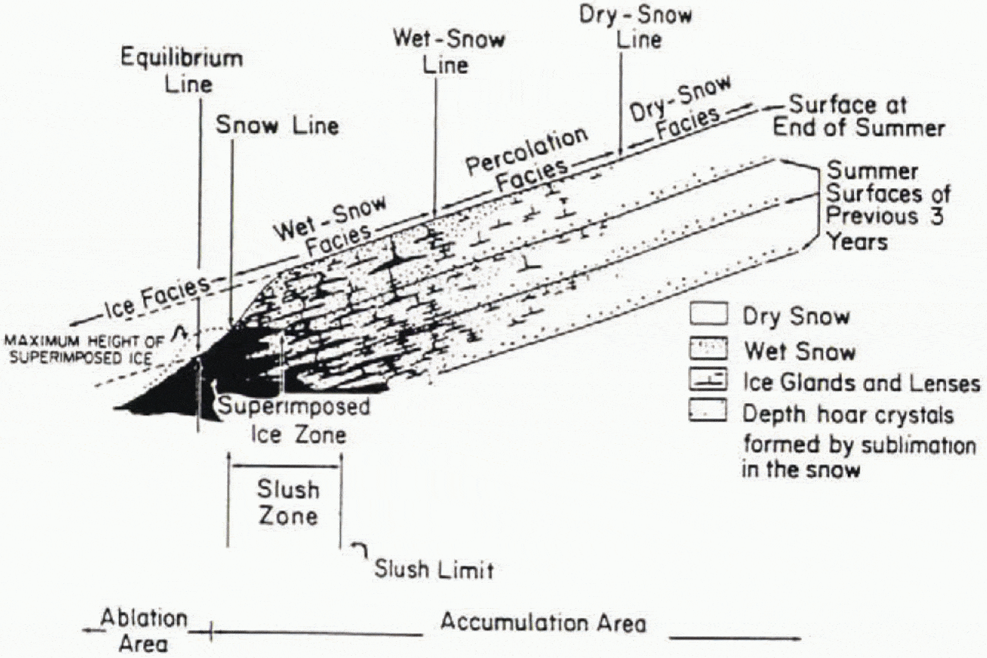 Discrimination of glacier facies using multi-temporal SAR data ...