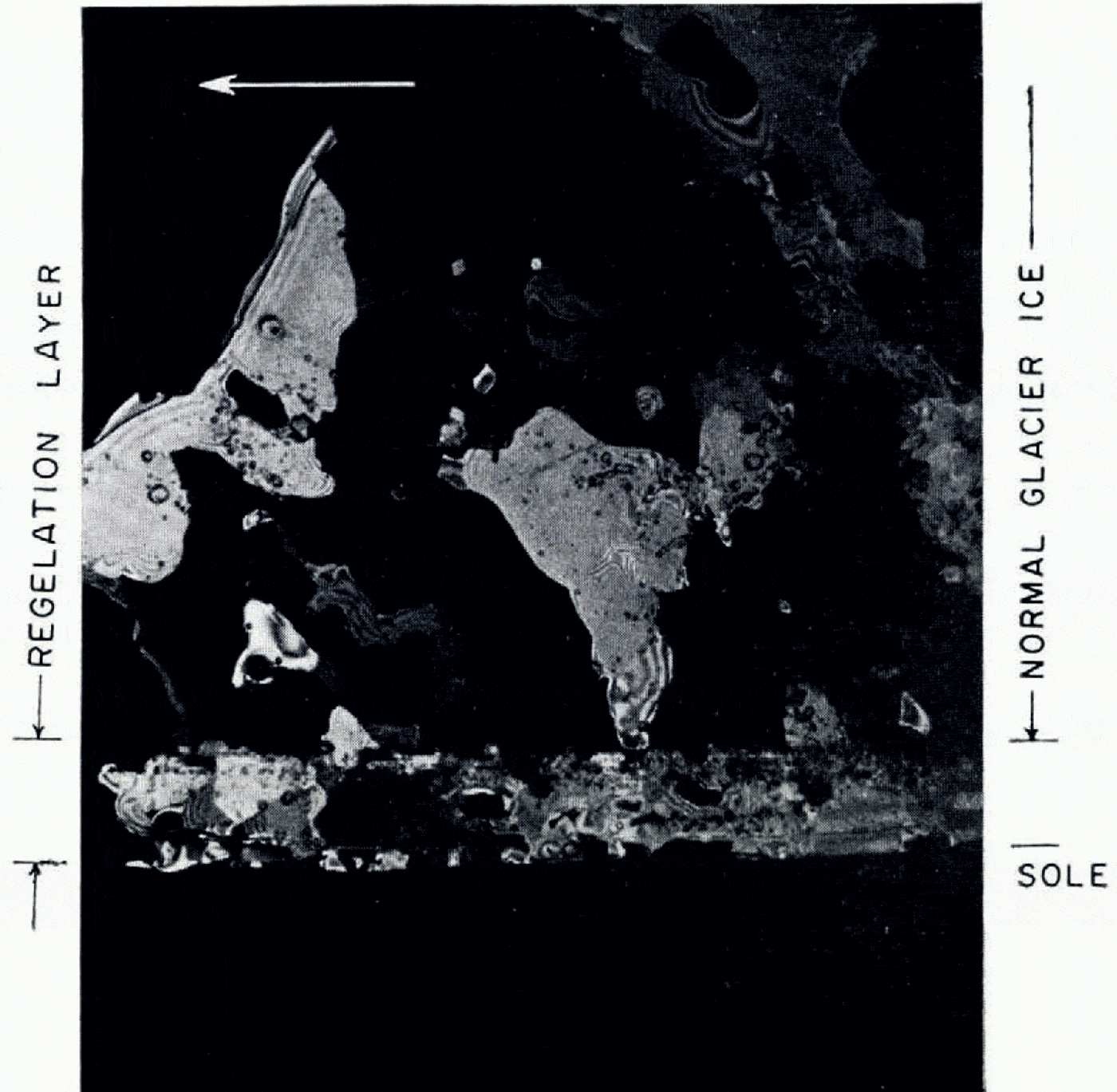 Direct Observation of the Mechanism of Glacier Sliding Over Bedrock ...