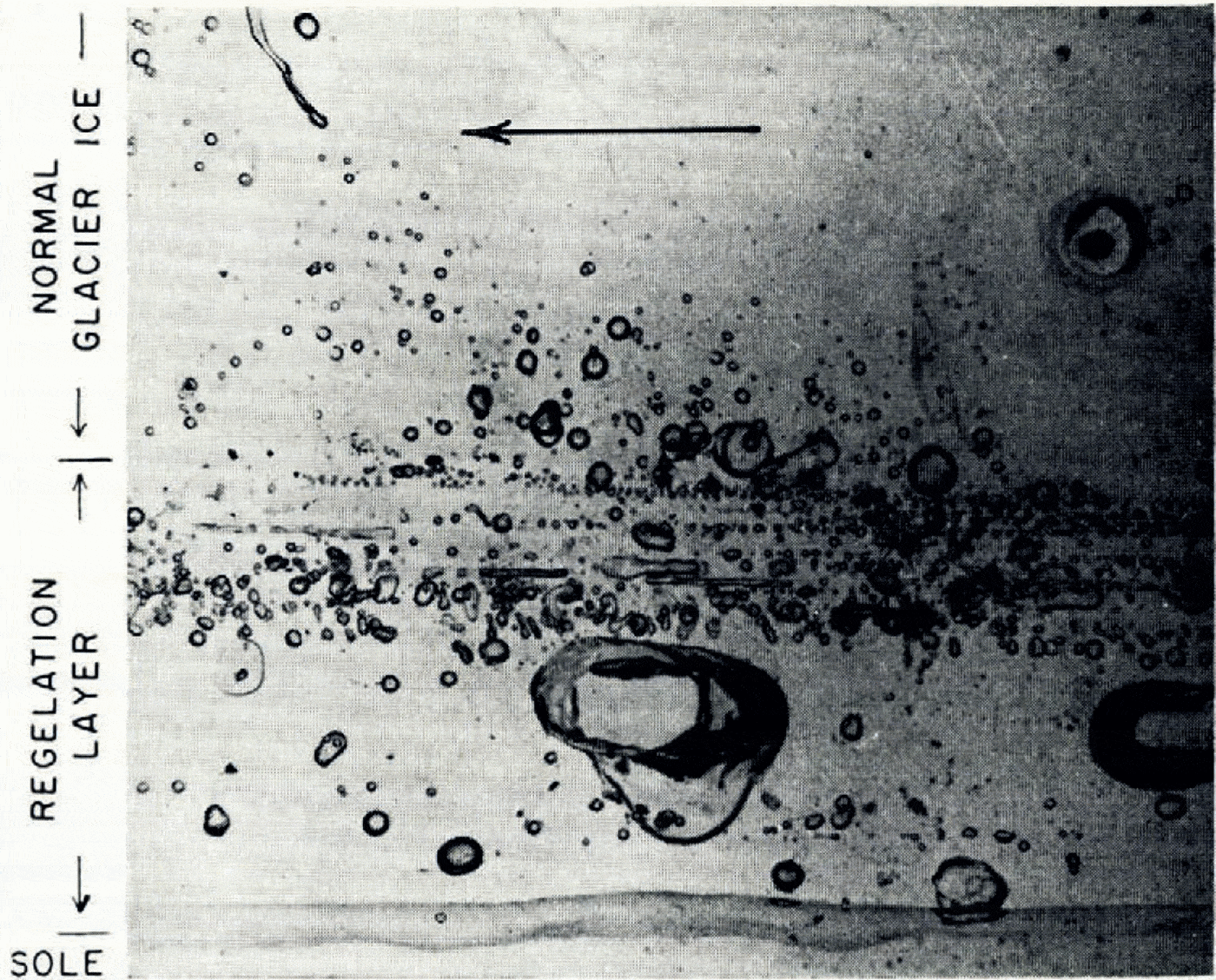 Direct Observation of the Mechanism of Glacier Sliding Over Bedrock ...