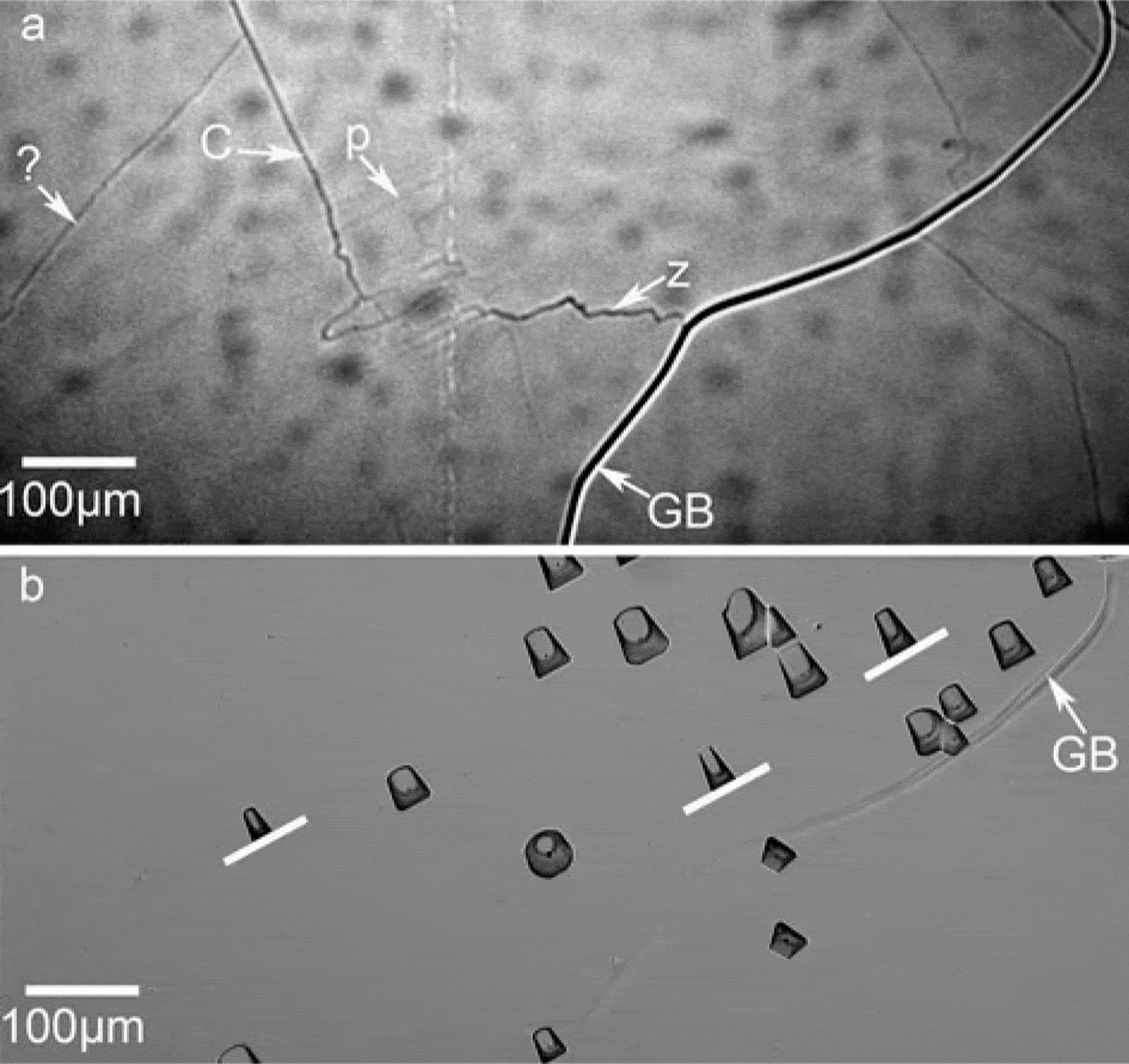 Evolution of ice crystal microstructure during creep experiments ...