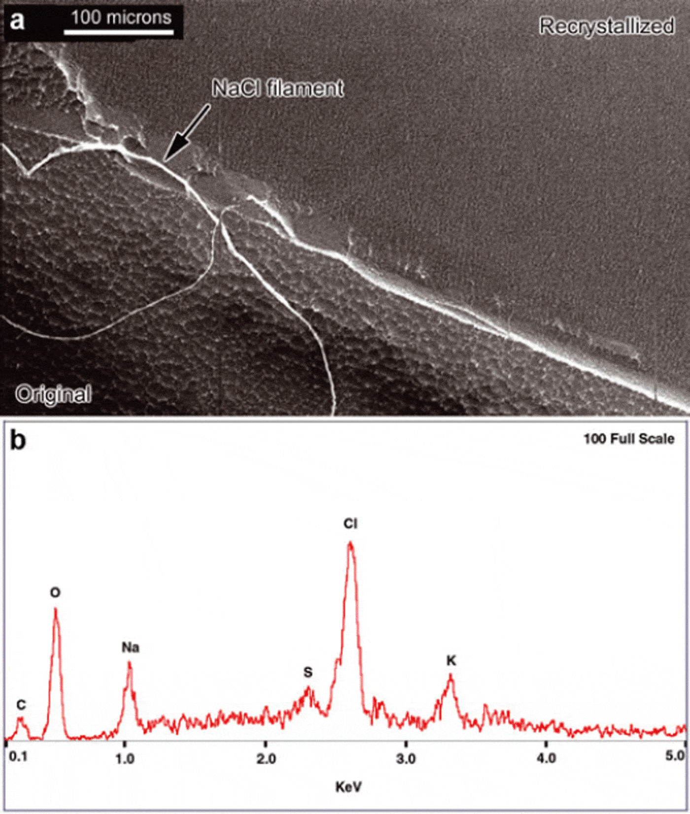 Effects of impurities and their redistribution during recrystallization ...