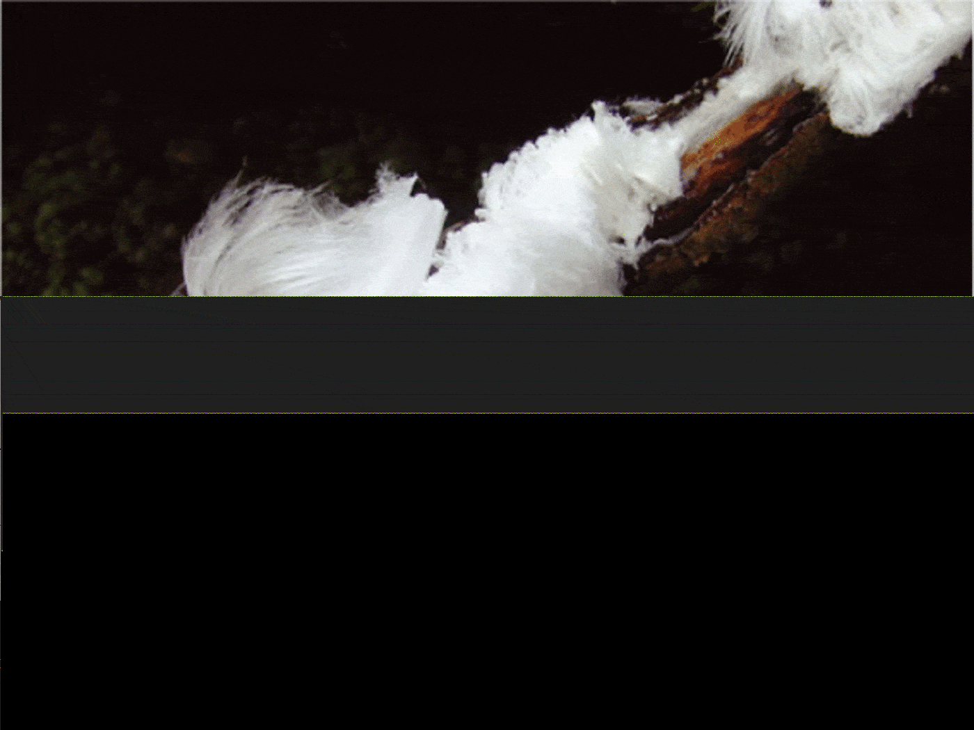 Frost heave | Journal of Glaciology | Cambridge Core