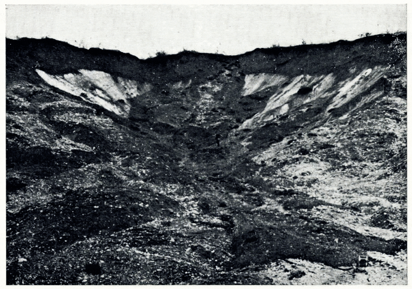 Observations on a Collapsing Kame Terrace In Glacier Bay National ...