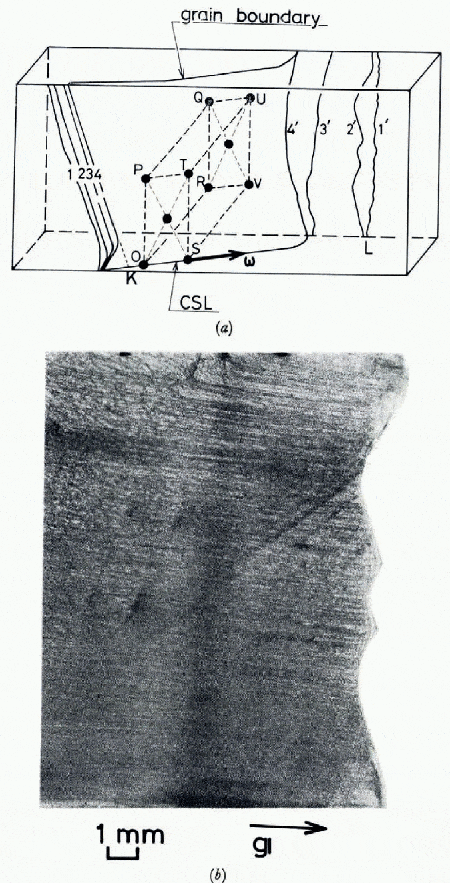 Structure and Behaviour of Grain Boundaries in Polycrystalline Ice ...