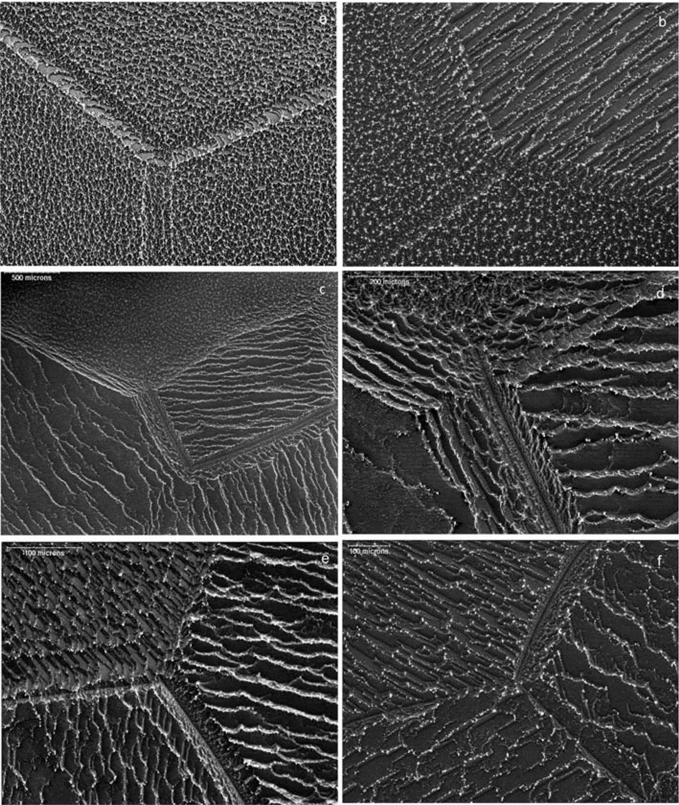Grain boundary grooving in ice in a scanning electron microscope ...