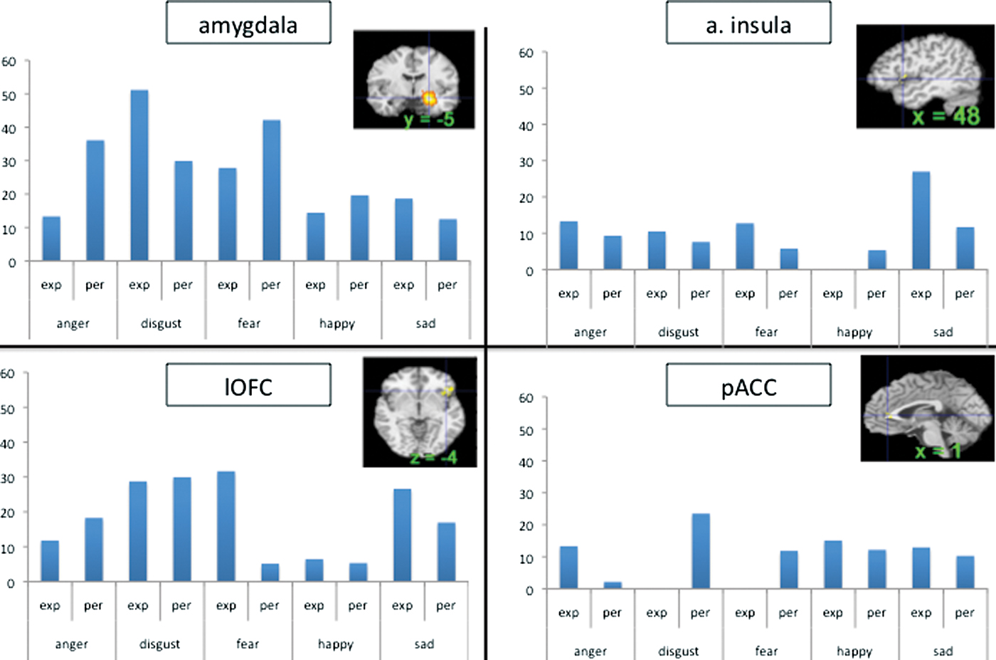 The brain basis of emotion: A meta-analytic review | Behavioral and ...