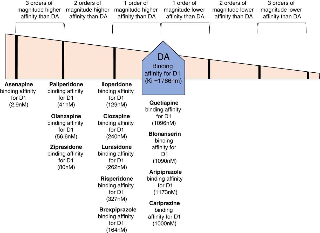 Drugs for psychosis and mood: unique actions at D3, D2, and D1 dopamine ...