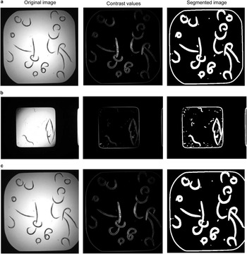Segmenting Microscopy Images of Multi-Well Plates Based on Image ...