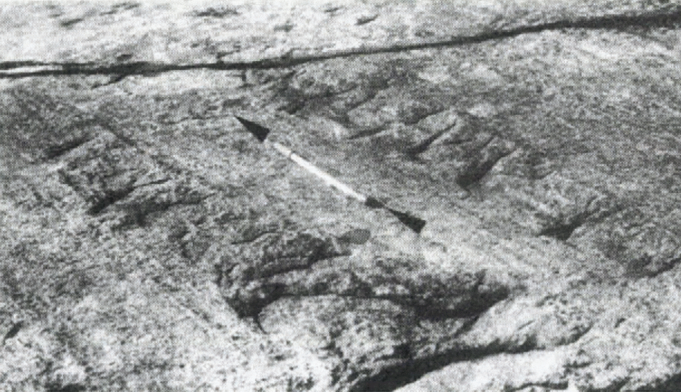 Studies On Crescentic Fractures and Crescentic Gouges with the Help of ...