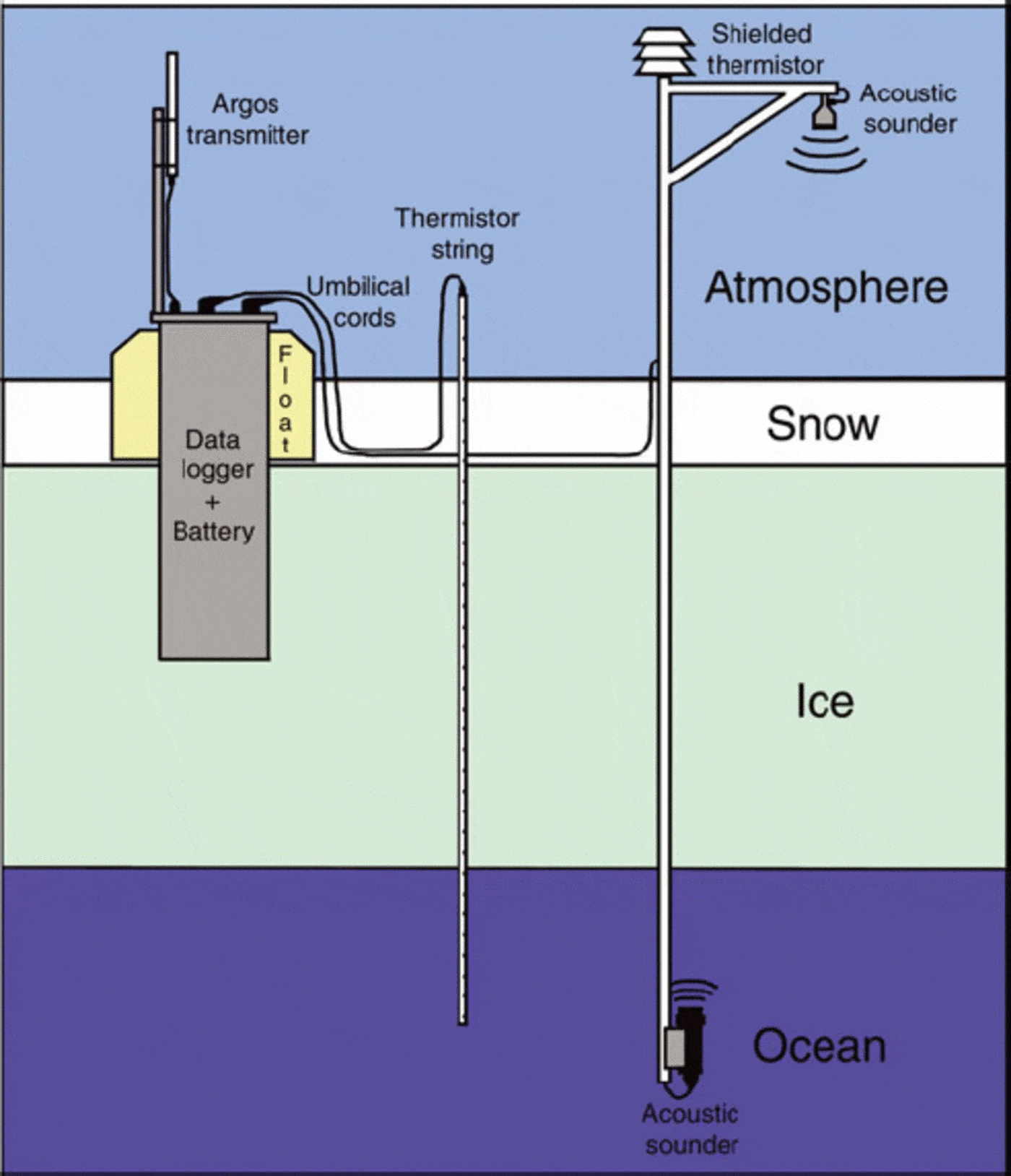 Seasonal ice mass-balance buoys: adapting tools to the changing Arctic ...