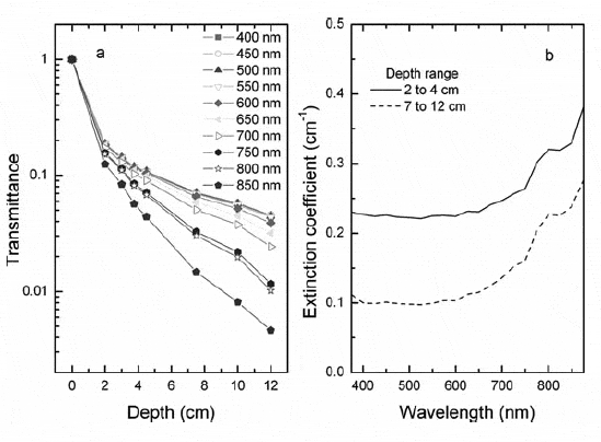 Light reflection and transmission by a temperate snow cover | Journal ...