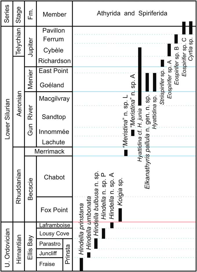 Early athyride brachiopod evolution through the Ordovician-Silurian ...