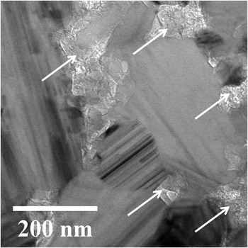 In situ characterization of ion-irradiation enhanced creep of third ...