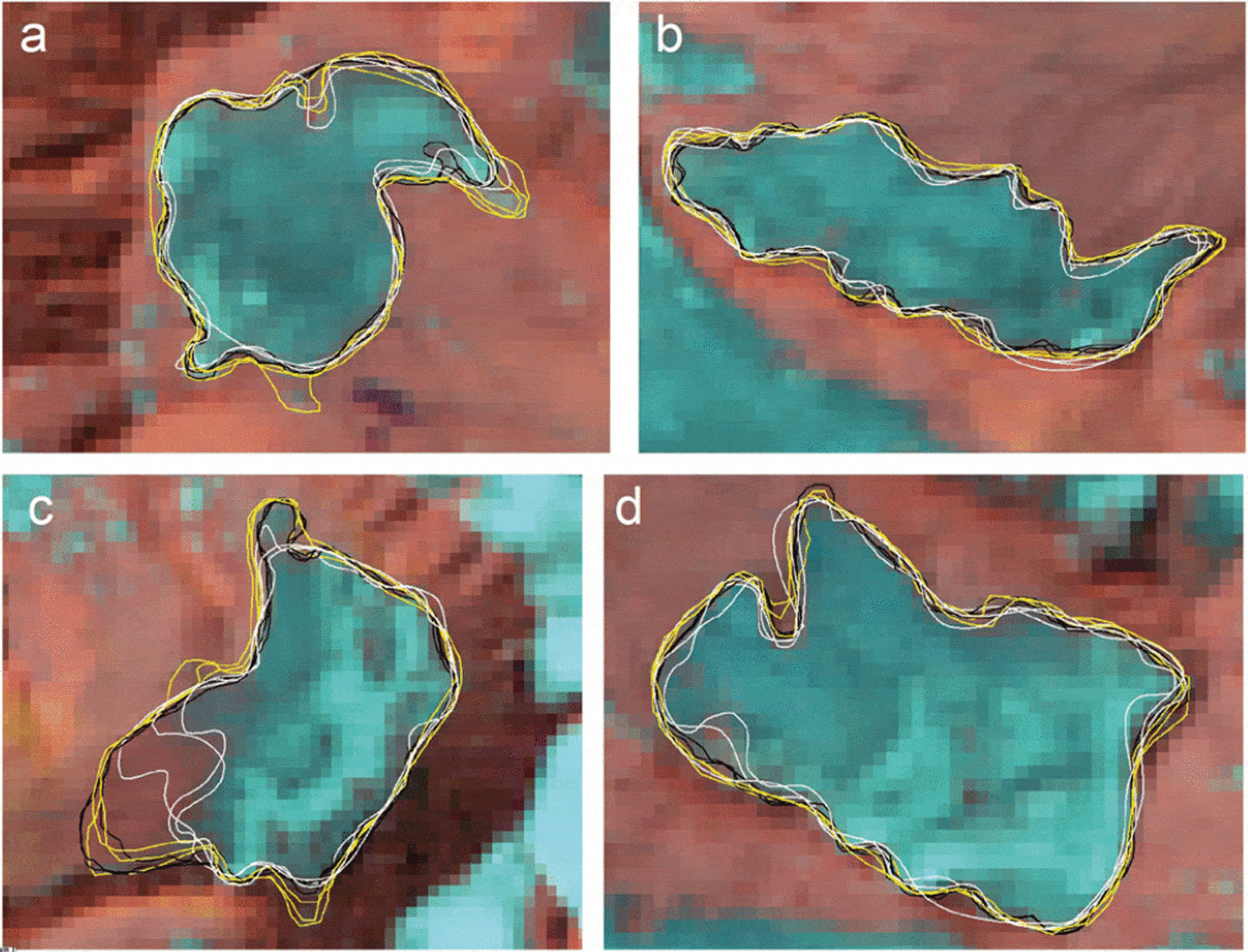 On the accuracy of glacier outlines derived from remote-sensing data ...