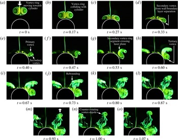 Head-on collisions of vortex rings upon round cylinders | Journal of ...