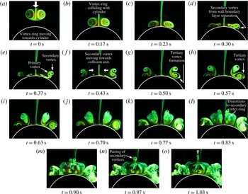 Head-on collisions of vortex rings upon round cylinders | Journal of ...