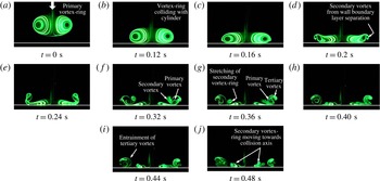 Head-on collisions of vortex rings upon round cylinders | Journal of ...