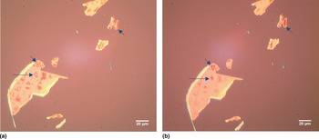 Long-term stability of mechanically exfoliated MoS2 flakes | MRS ...